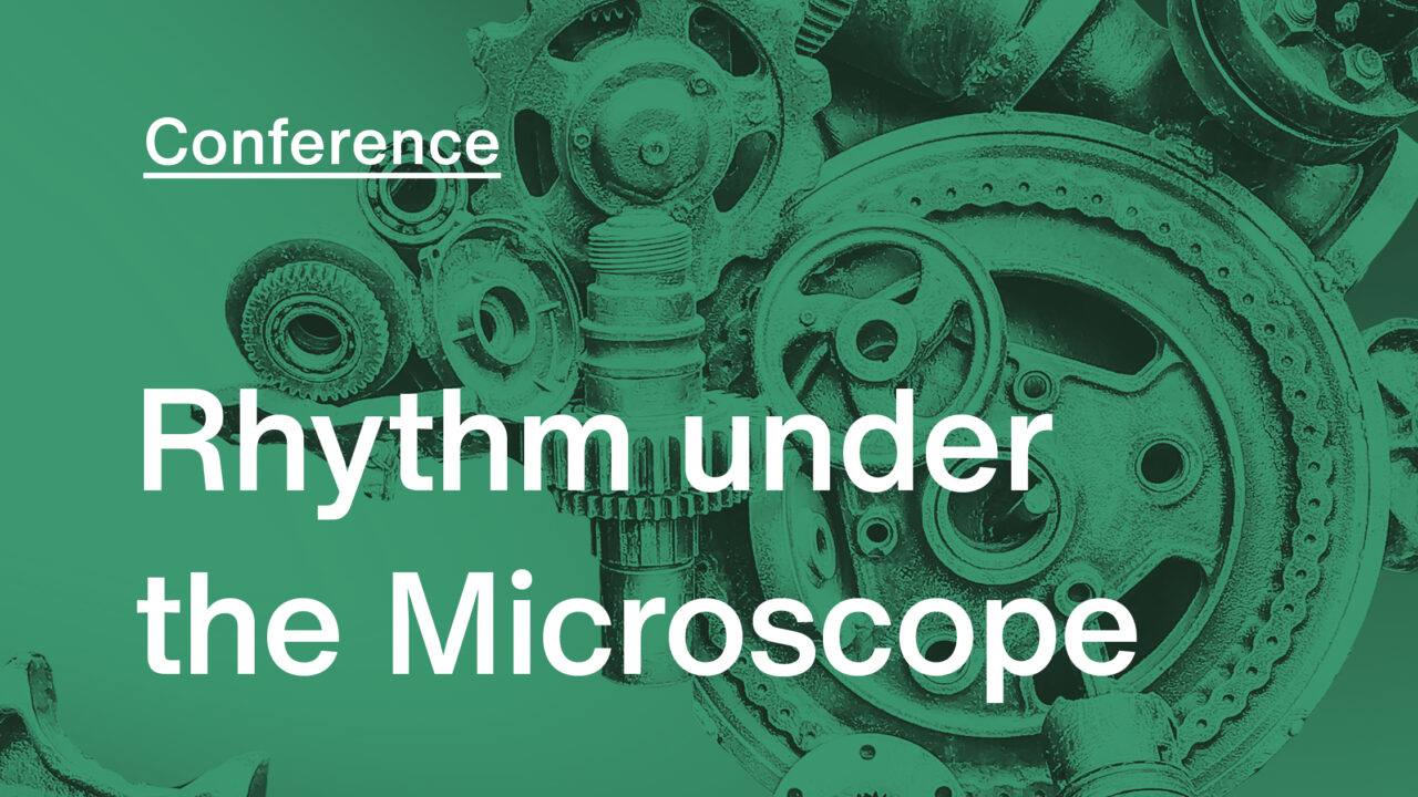 Rhythm under the Microscope • ipop